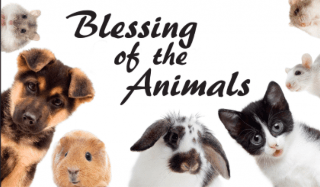 Blessing of the Animals October 3rd – Saint Catherine Labouré Catholic ...